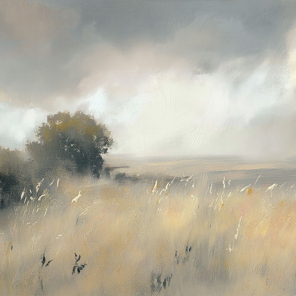 Soothing Fields II – espravo